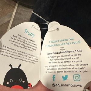 Squishmallows | Toys | Squishmallow Trudy Ladybug 8 Inch New | Poshmark